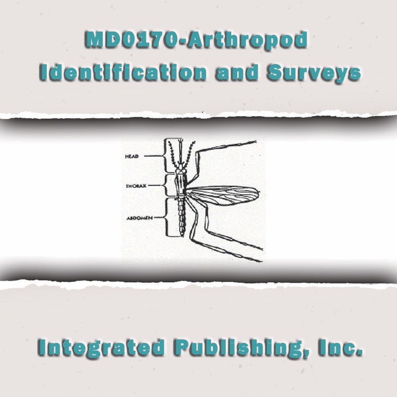 Arthropod Identification and Surveys