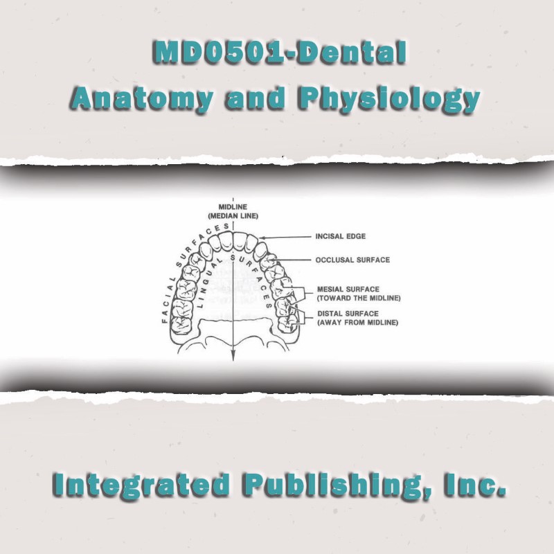 Dental Anatomy and Physiology