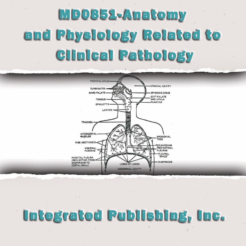 Anatomy and Physiology Related to Clinical Pathology