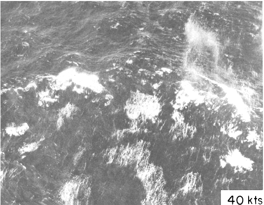 Sea surface forecasting