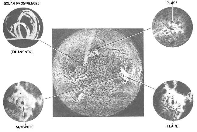 Solar Prominences/Filaments