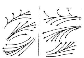 Streamline-Isotach Analysis